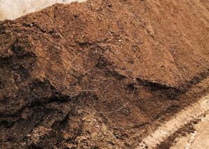 How To Make Compost With Cow Dung | Fast Fermentation Tips